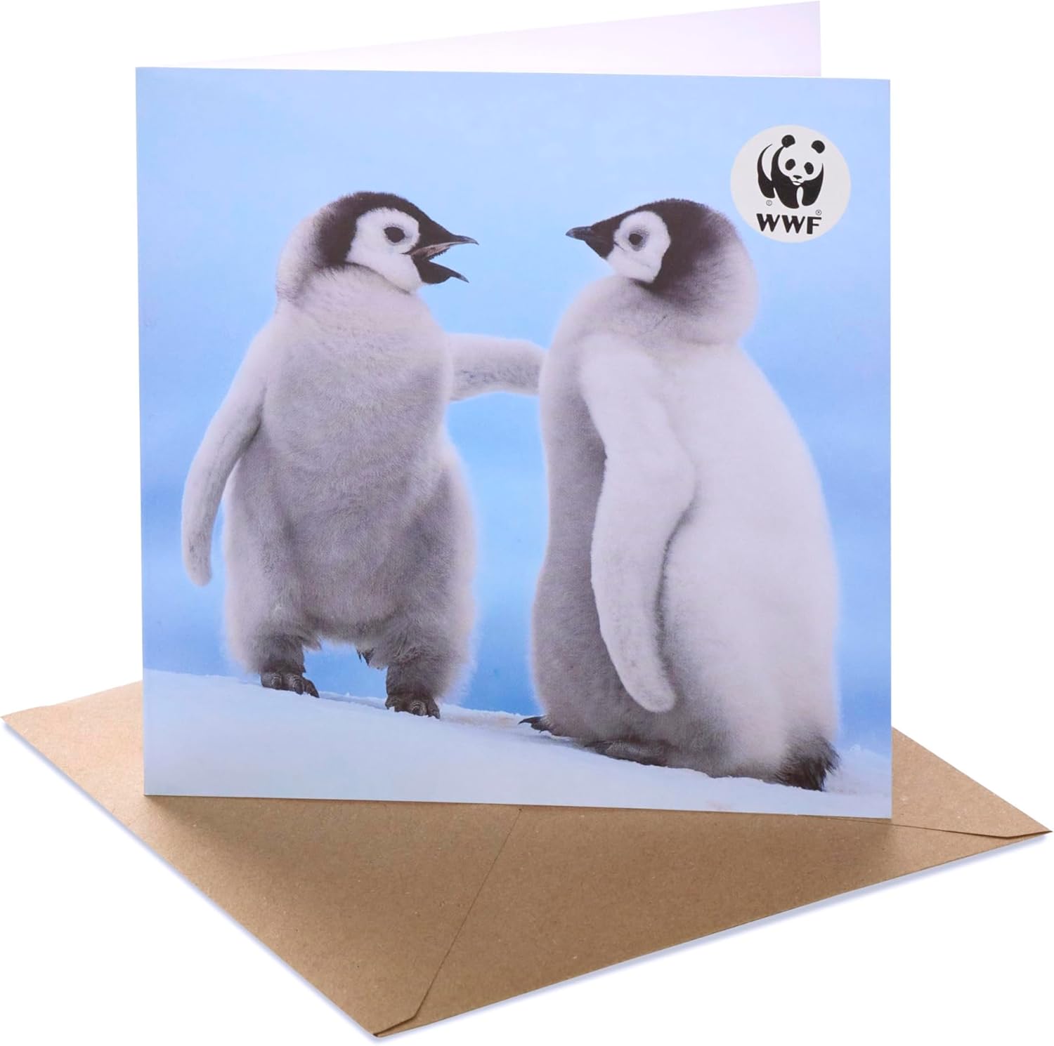 Photographic Penguins Design Open Blank Birthday Card– Shop Inc