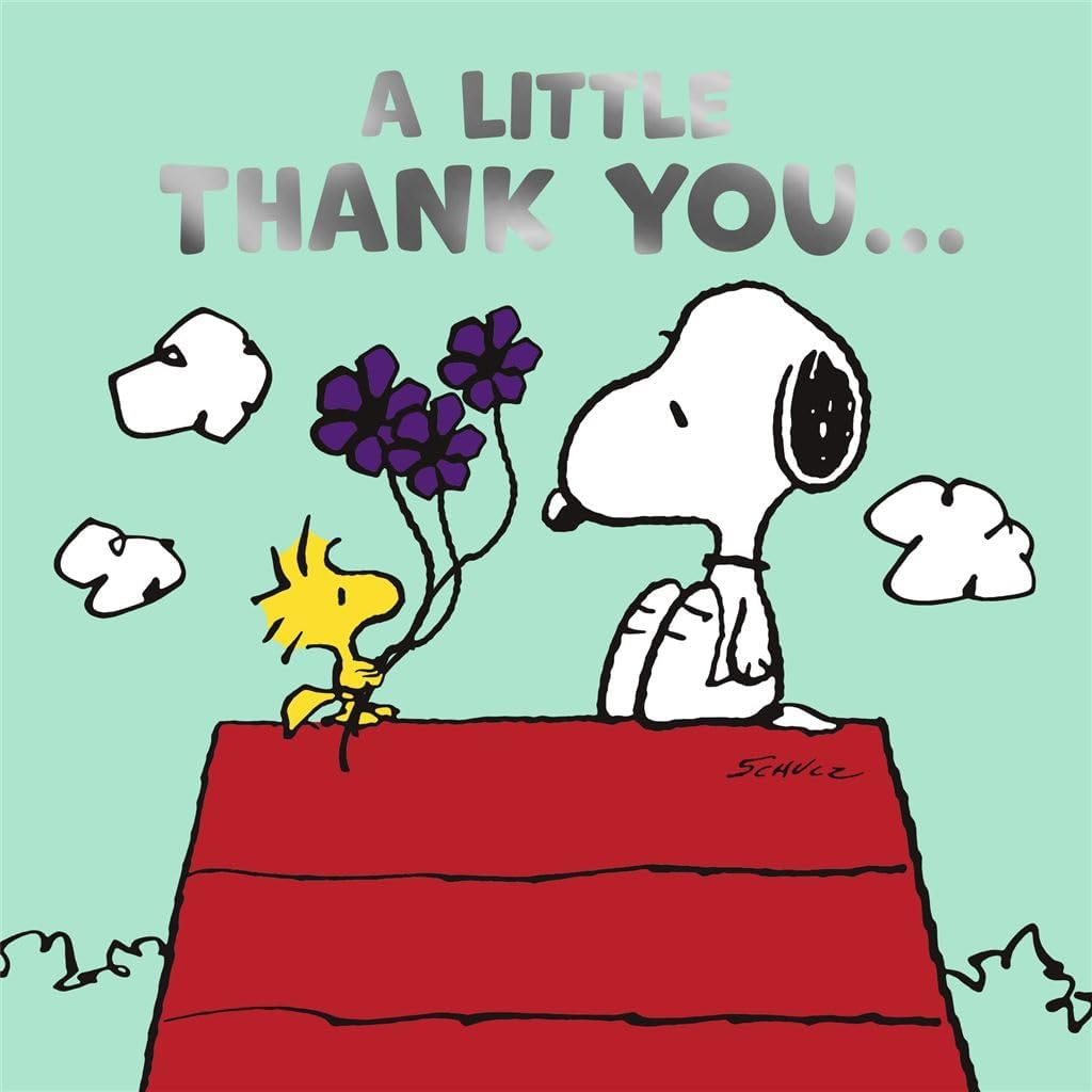 Peanuts Snoopy A Little Thank You Card– Shop Inc