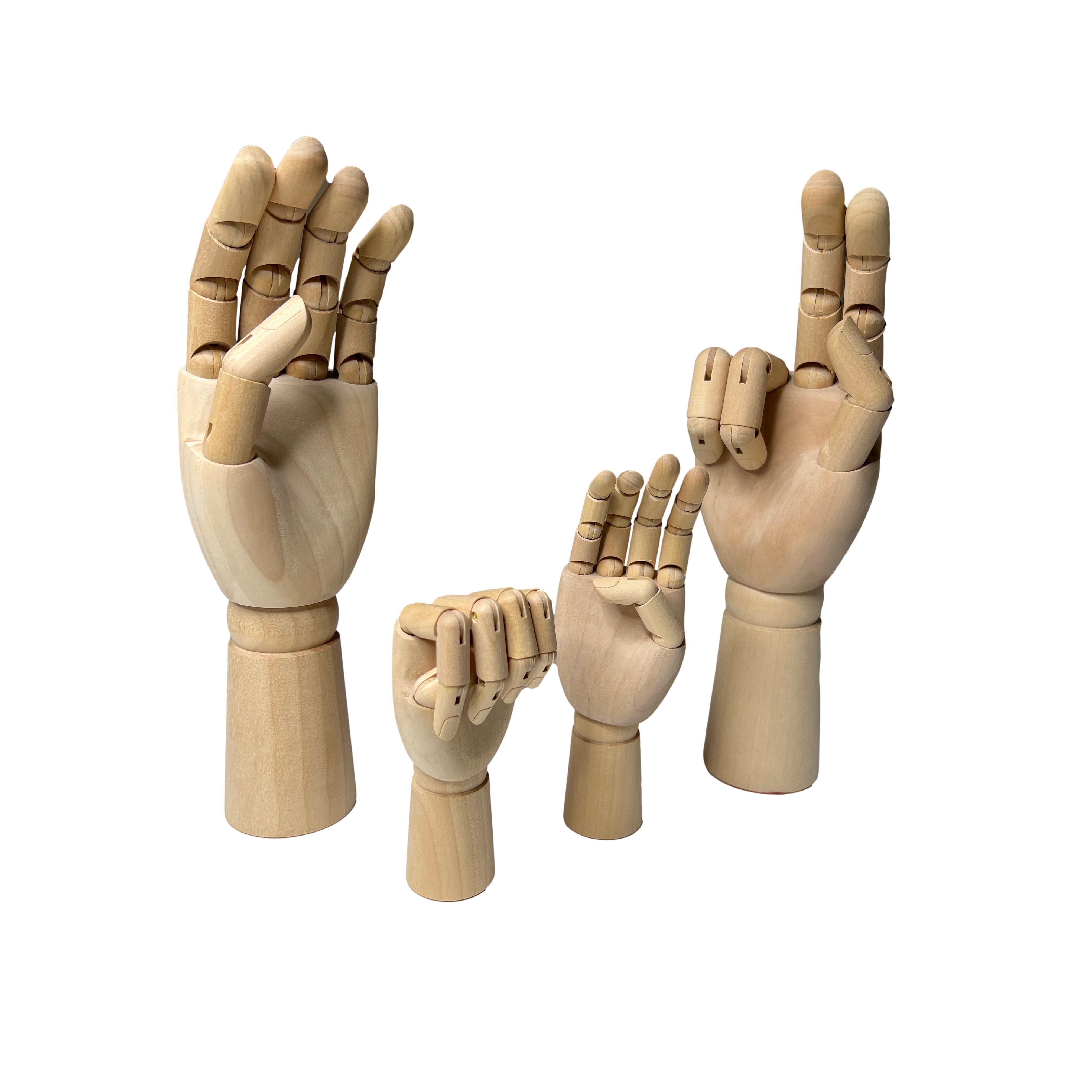 Set of 4 Both Hand Manikins in Various Sizes– Shop Inc