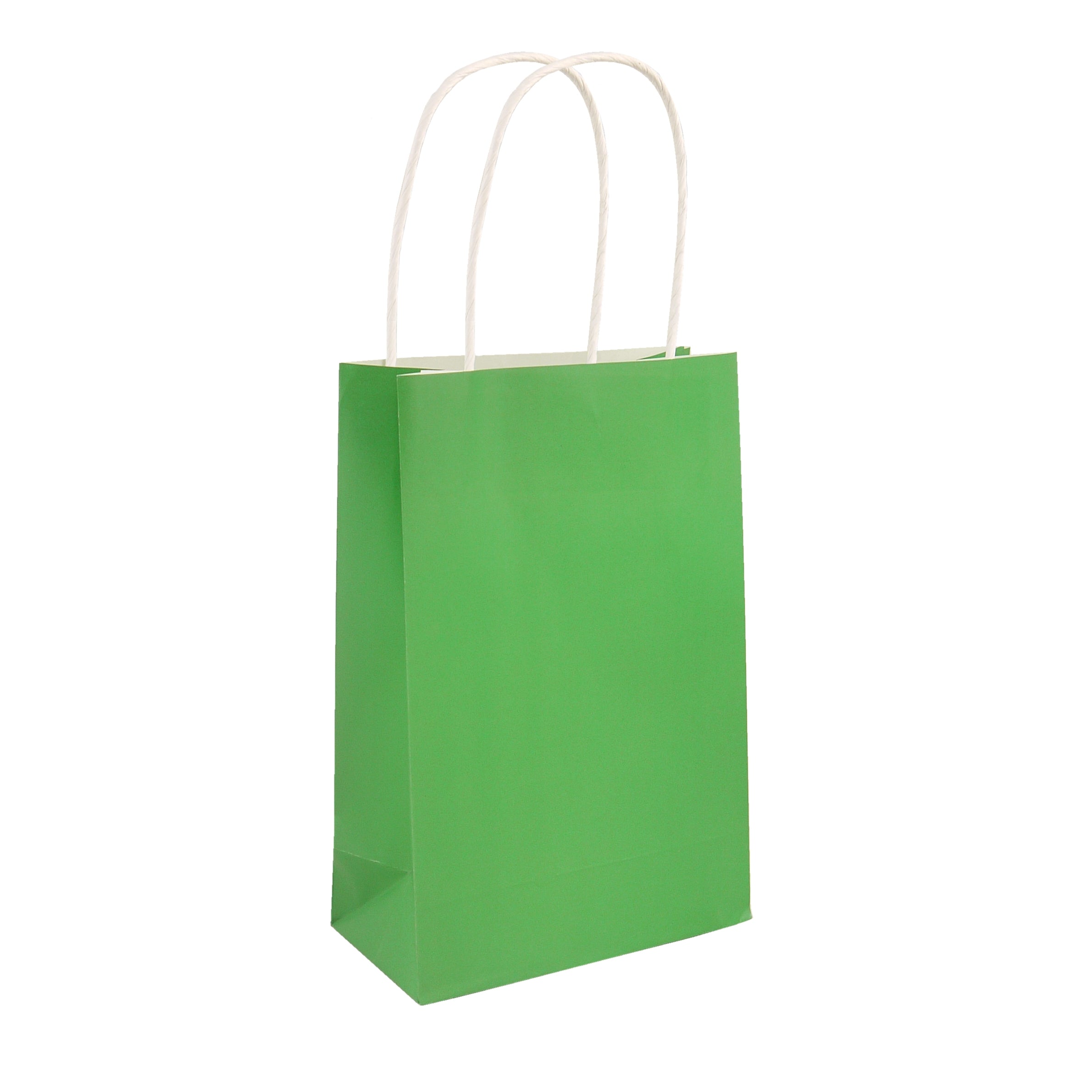 Pack of 6 Green Party Bags with Handle– Shop Inc