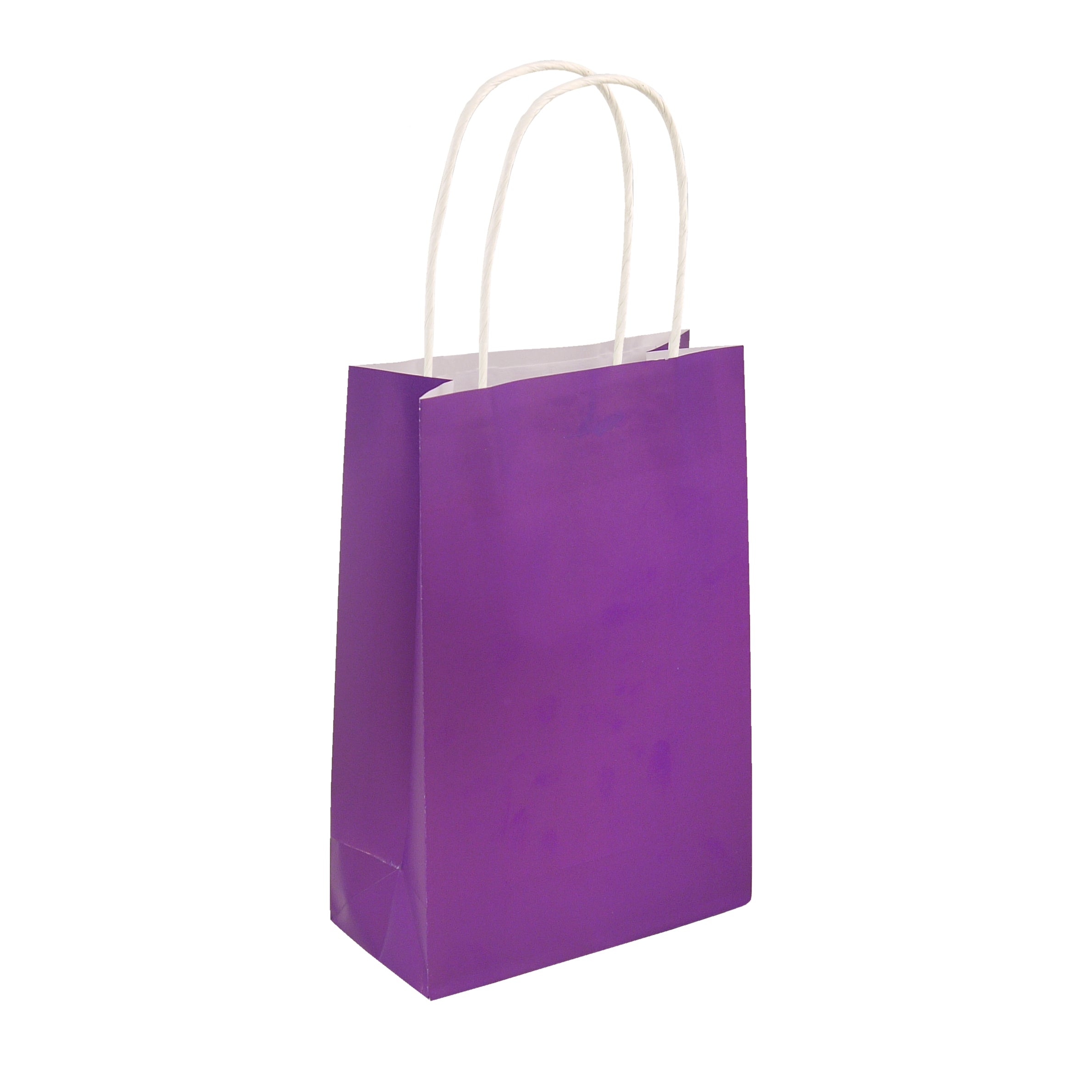 Pack of 6 Purple Party Bags with Handle– Shop Inc