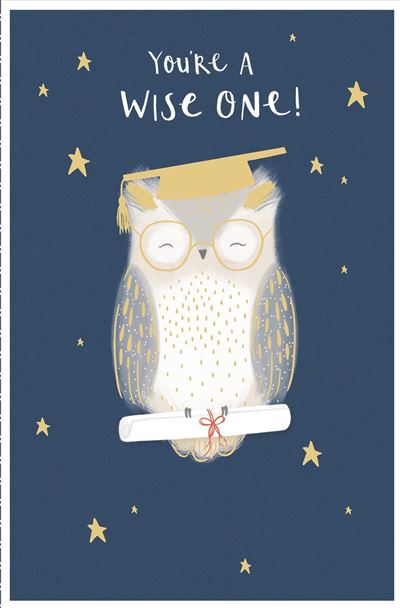 Graduation Congratulations Card Owl, You're a Wise One! Gold Foil Fini ...