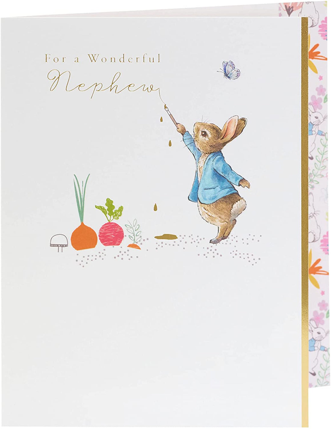 Peter Rabbit Birthday Card for Nephew– Shop Inc