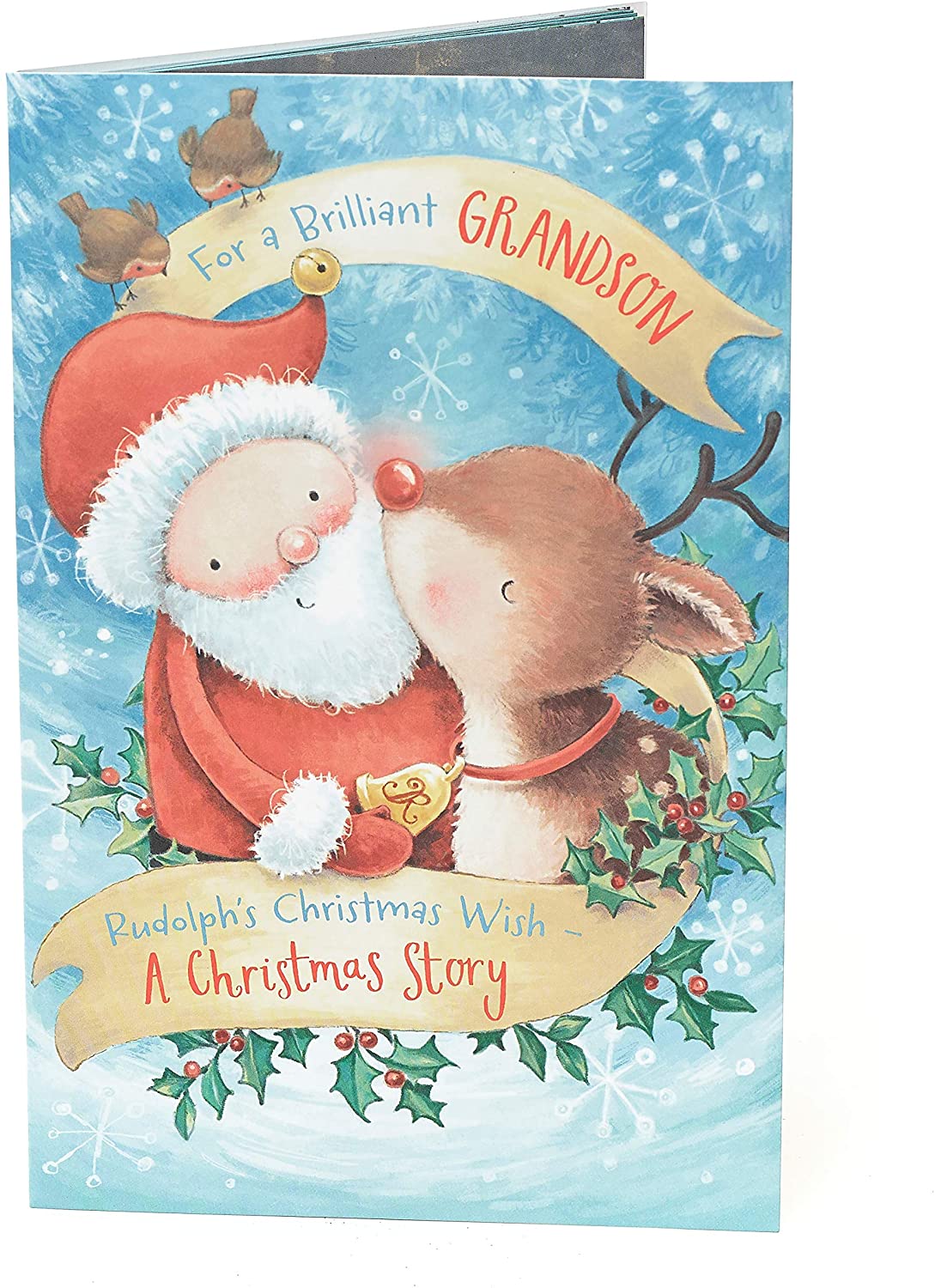 Brilliant Grandson Storybook About Rudolph and Santa Design Christmas ...