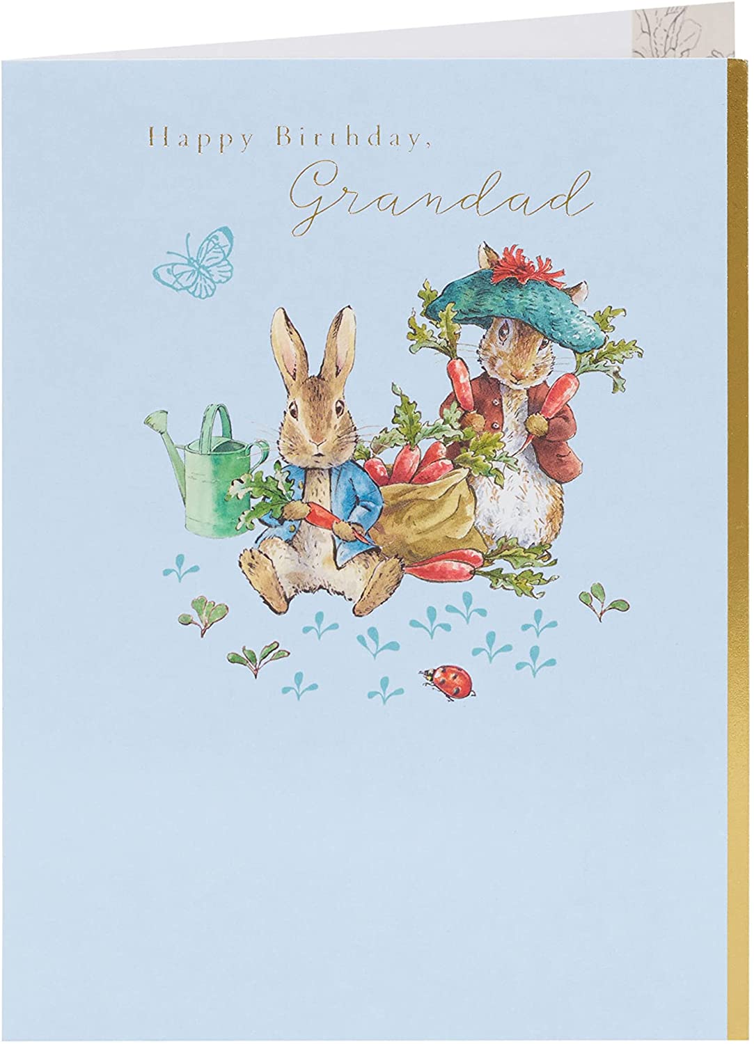 Peter Rabbit Birthday Card for Grandad– Shop Inc
