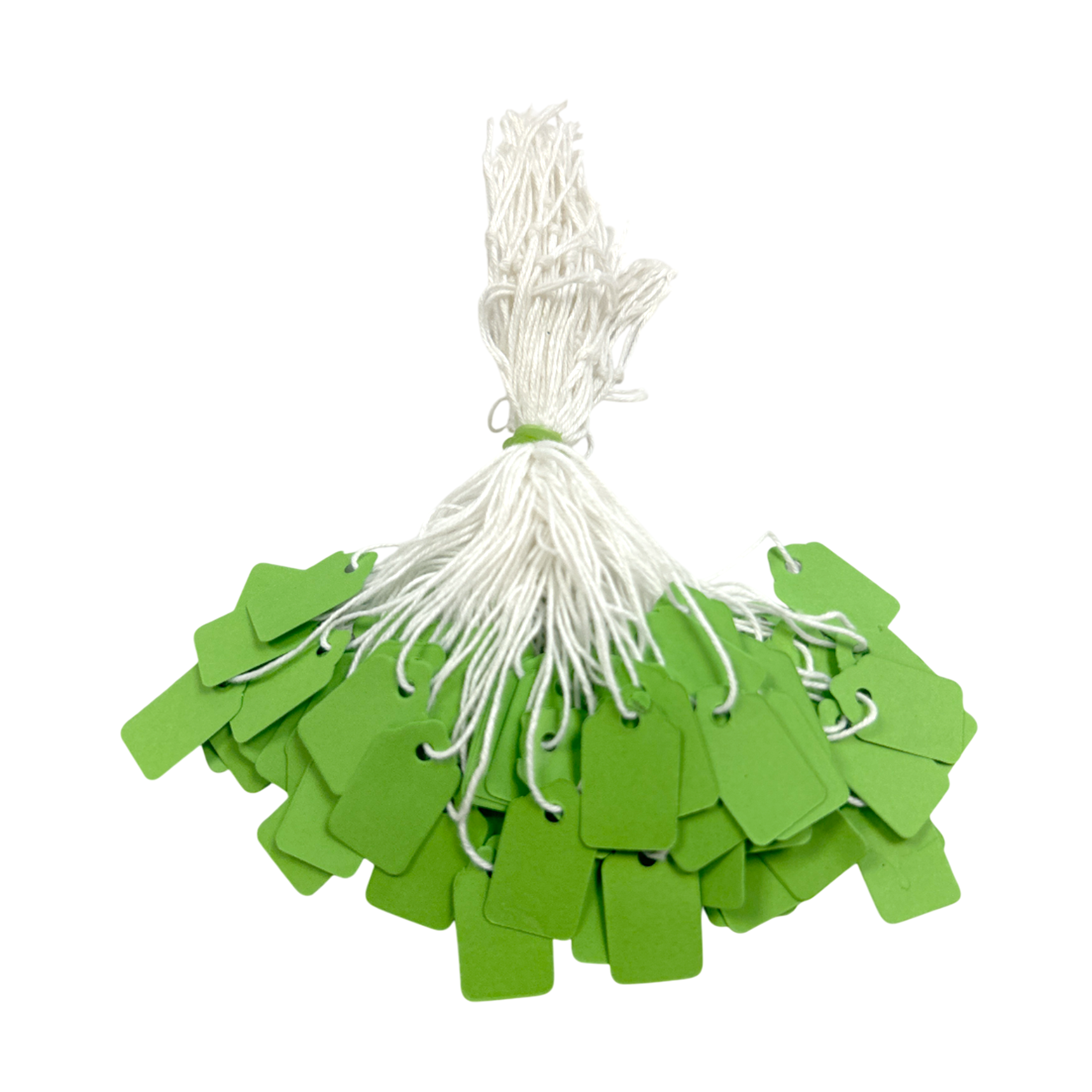 Pack of 200 Small Green Strung Tags 13 x 20mm– Shop Inc